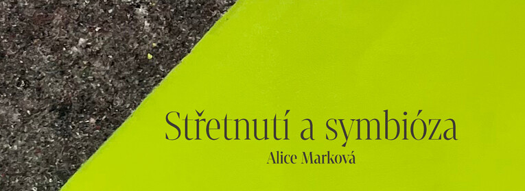 Alice Marková – Střetnutí a symbióza - INFO - zpravodajský portál ZČU