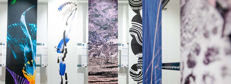 LSF students present their work at Design Without Borders exhibitions ...